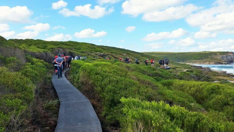 Boardwalk | Partridge