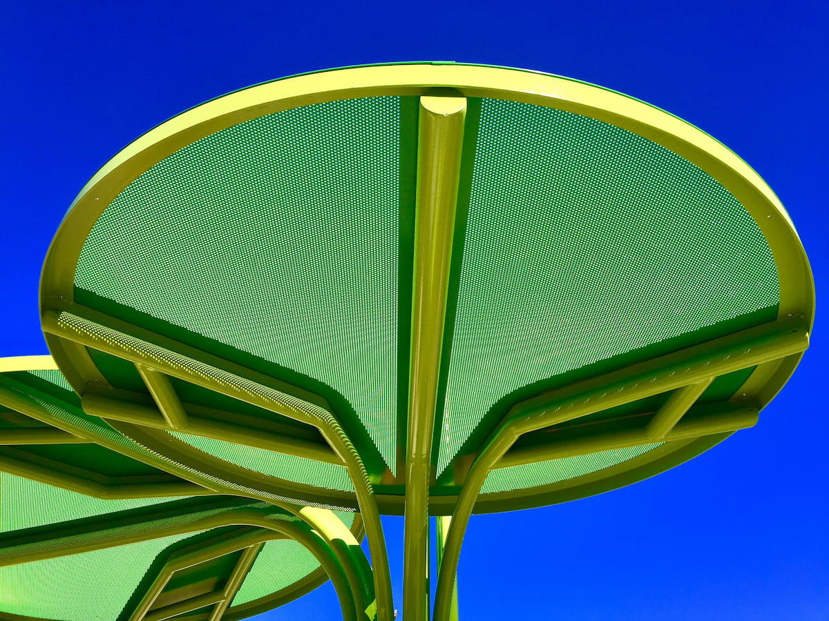 Frog Shade Structure | Partridge